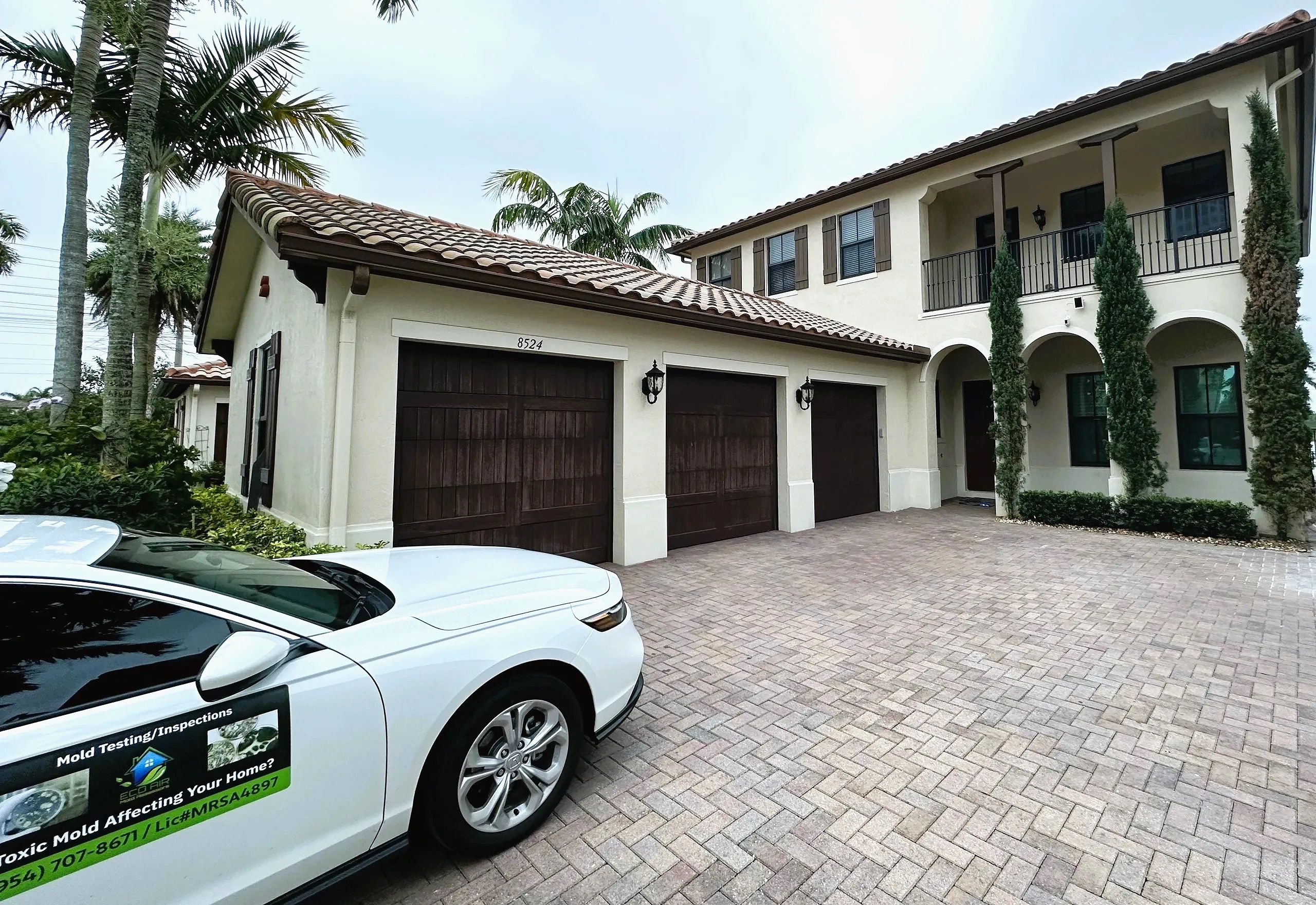 Mold Testing, Mold Samples - Eco Air Mold Assessors - Miami, Florida