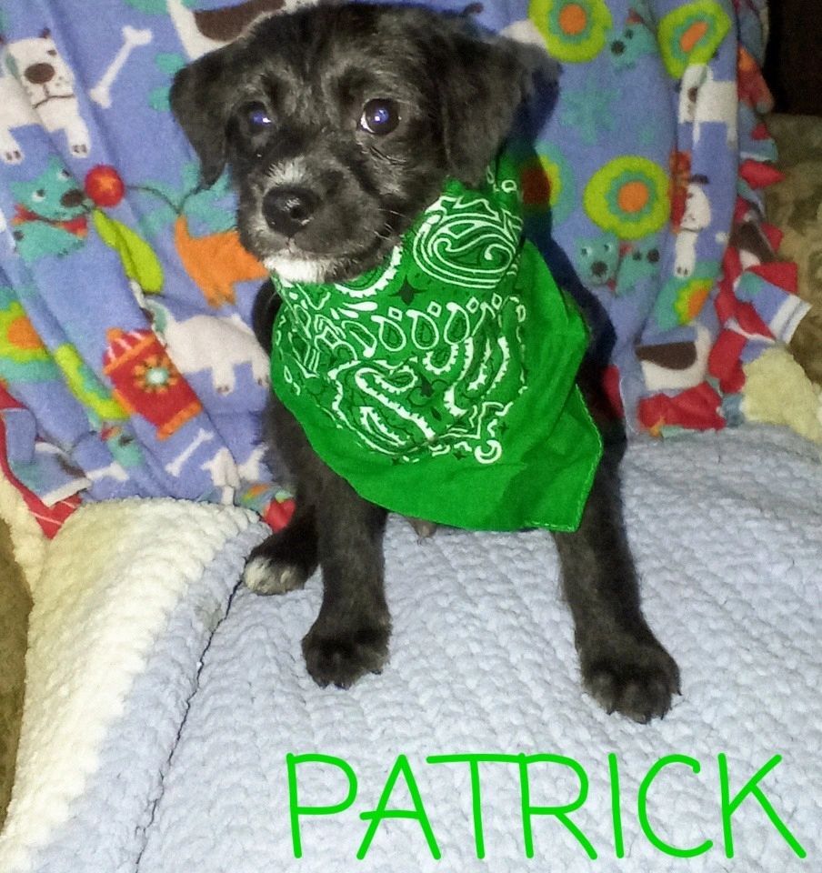 PATRICK