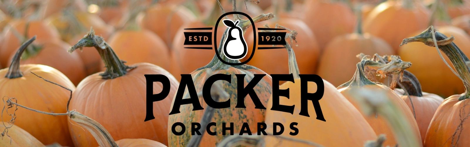 Packer Orchards - Farm, Bakery, Jam, Gift Box, Pumpkin Patch