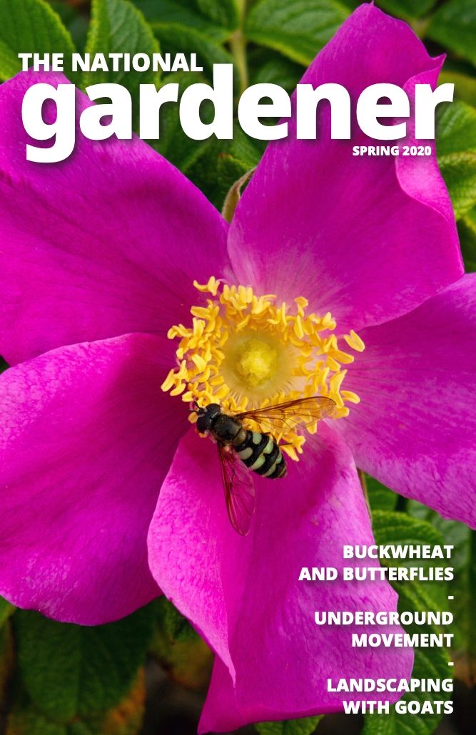 The National Gardener - Spring 2020