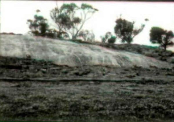 Photo Gallery | Noongar Kaartdijin Aboriginal Corporation