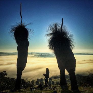 Noongar Kaartdijin Aboriginal Corporation