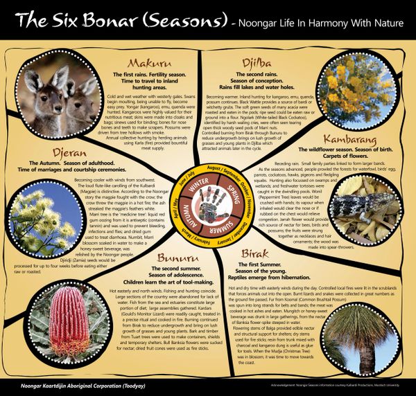 Photo Gallery | Noongar Kaartdijin Aboriginal Corporation