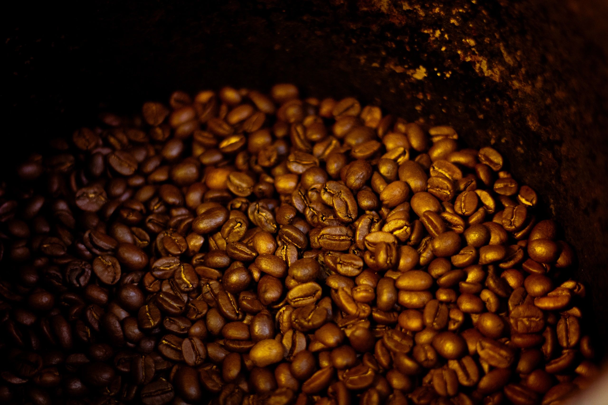 Buy Authentic Montana Coffee Online