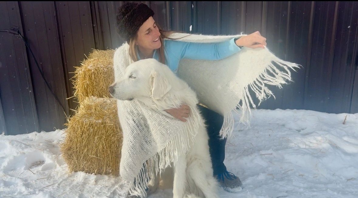 Chiengora (Dog Hair) Shawl from My Dogs Or Yours