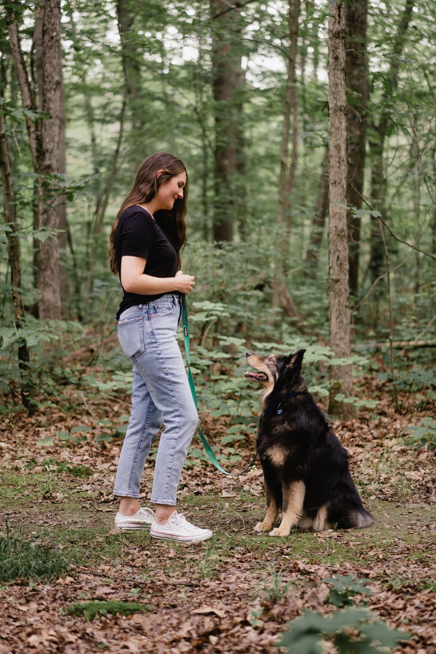 Ness Dog Behavior and Training