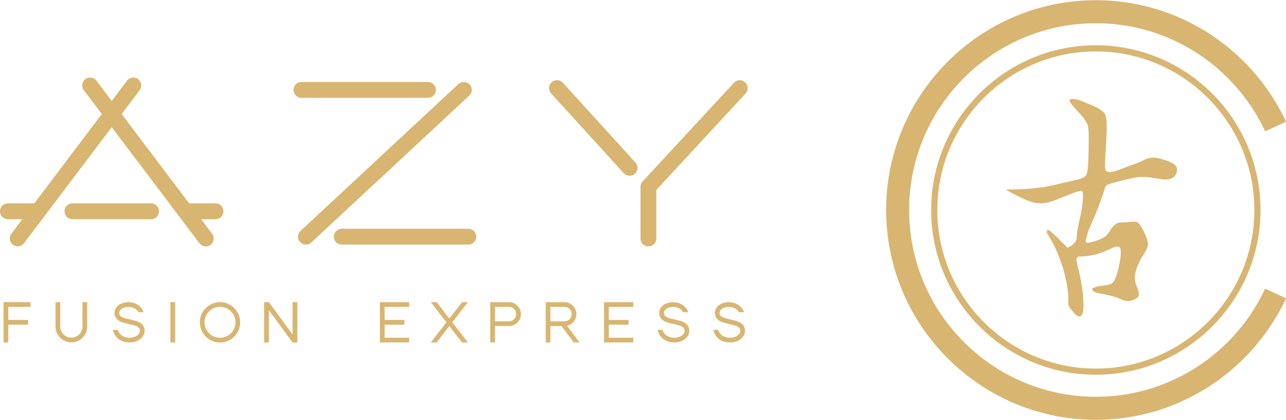 AZY FUSION EXPRESS