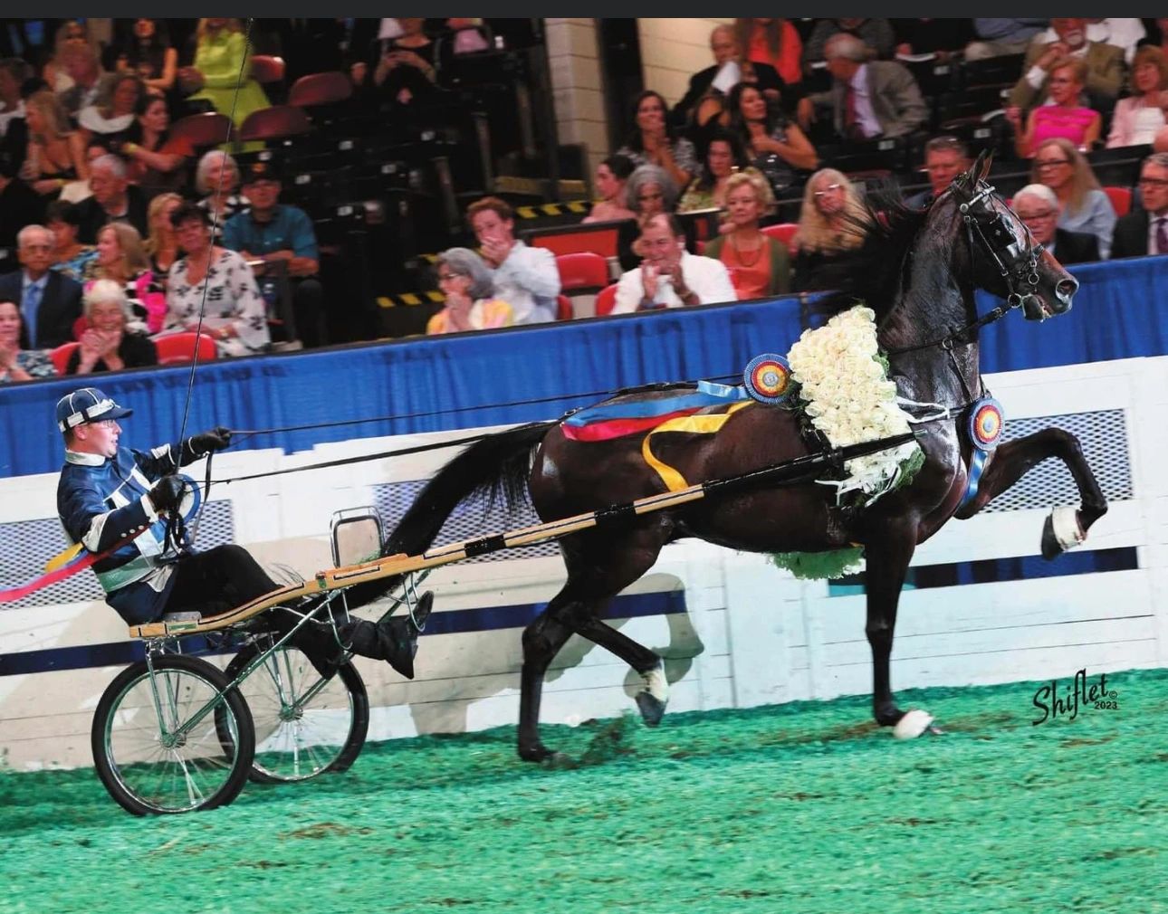 HOME [roadster.show]