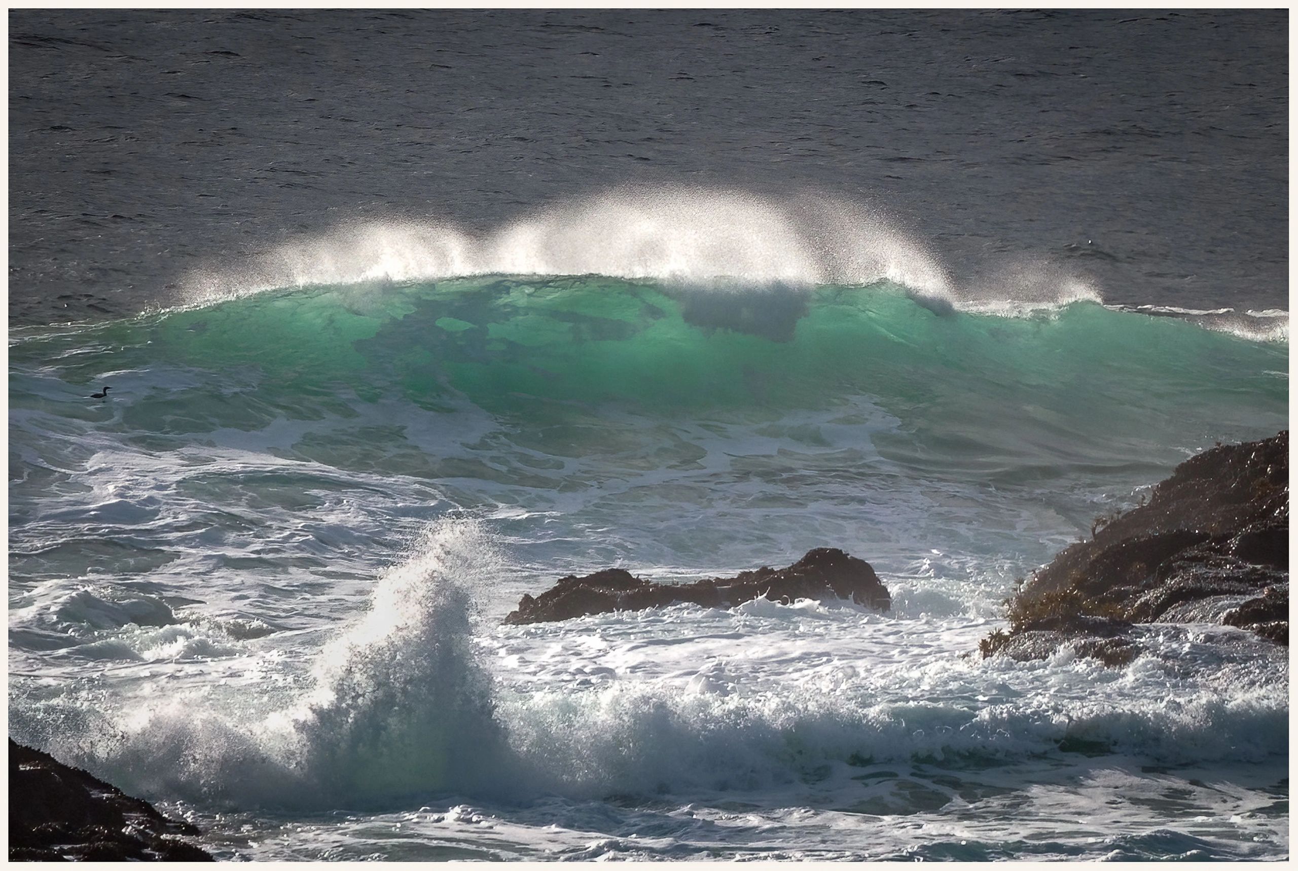 Jim Wyllie | Photography