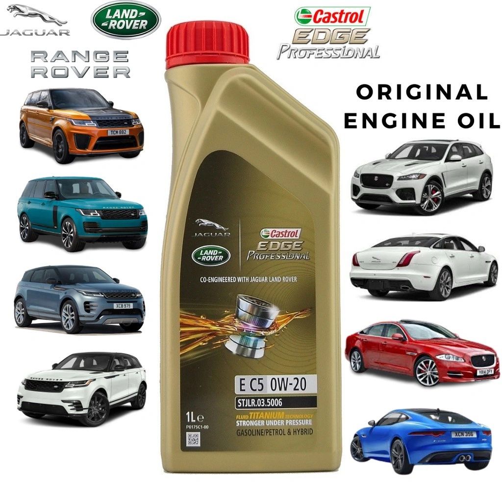 Castrol oil and genuine filter (plus we update your online service ...