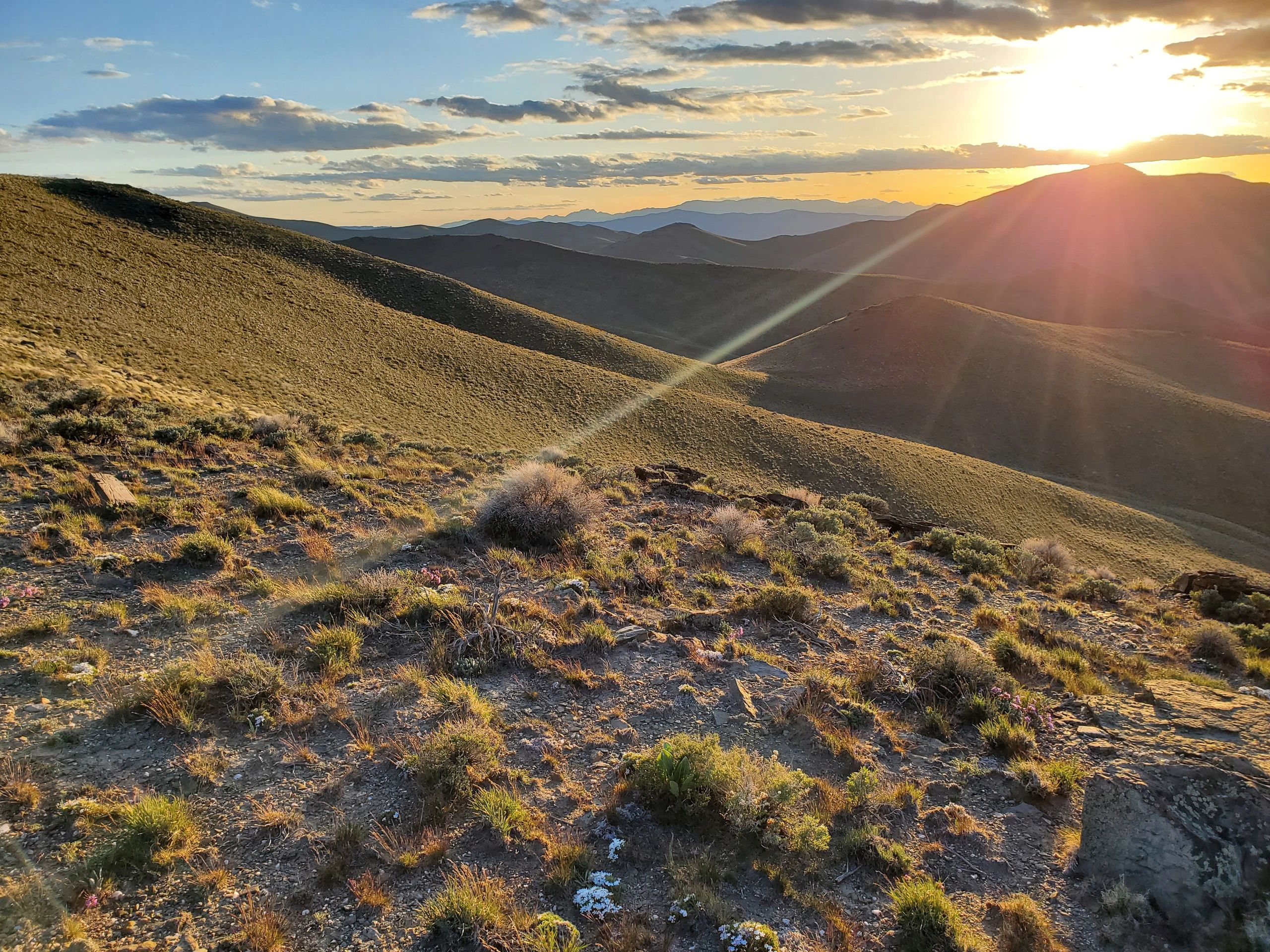 GIS Desktop Analysis for Wildlife Mitigation