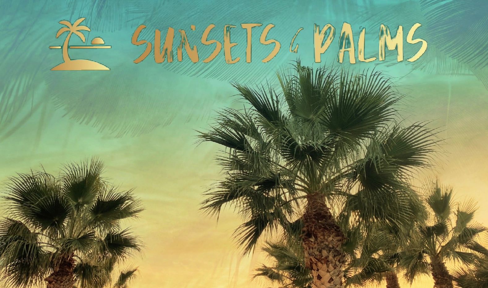 Sunsets and Palms First Site