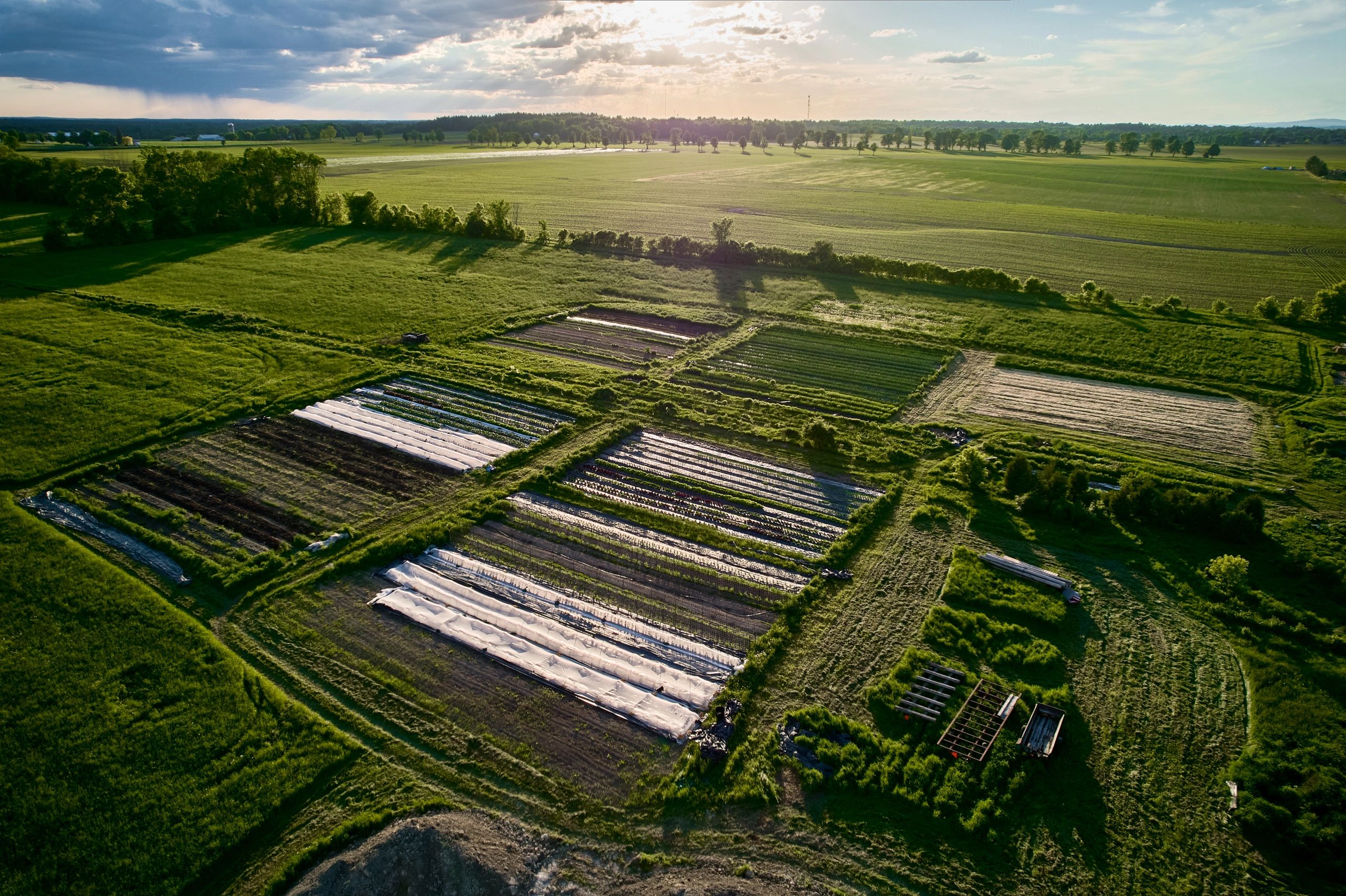 Hedgeview Farm - Farm - Pembroke, Ontario
