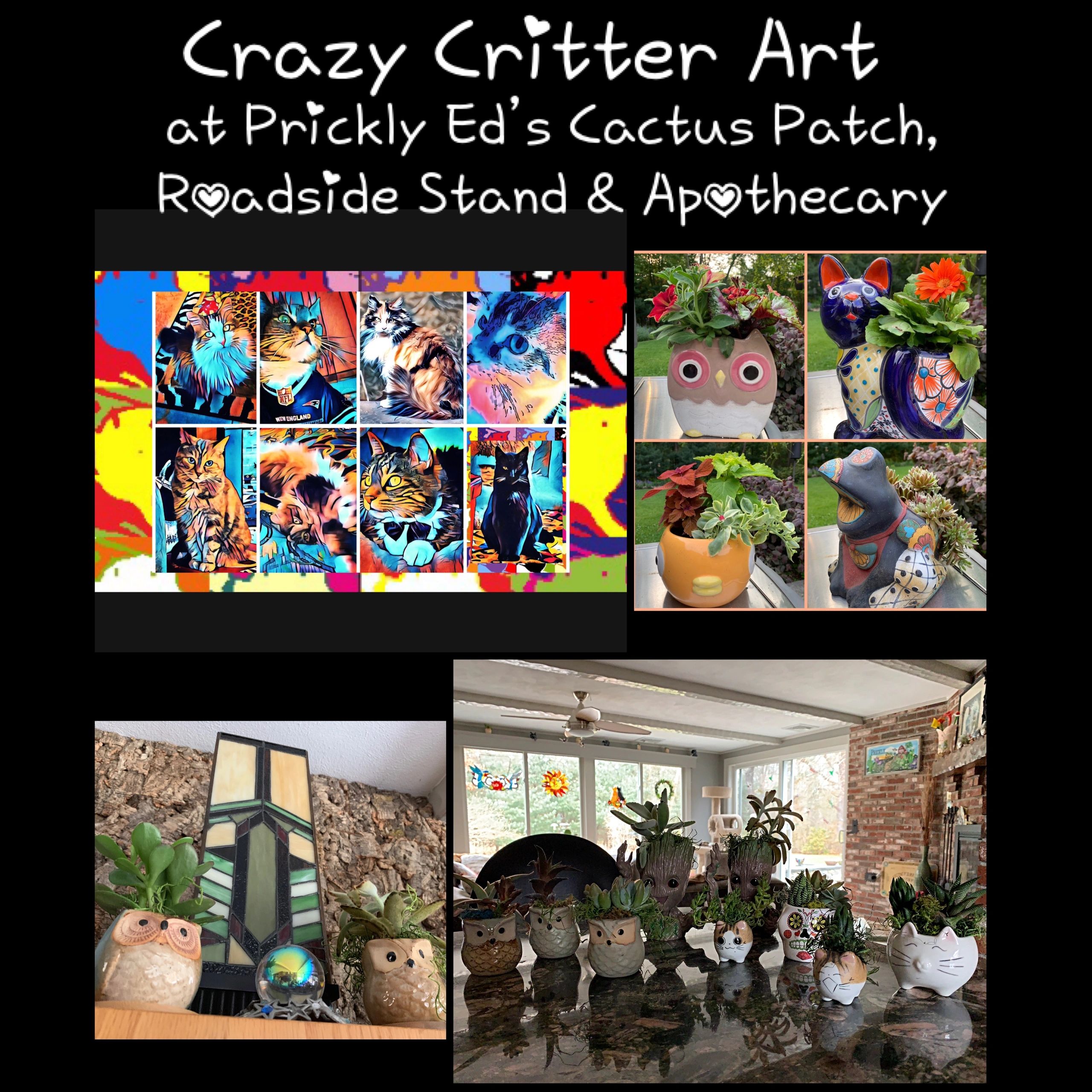 Crazy Critter Art