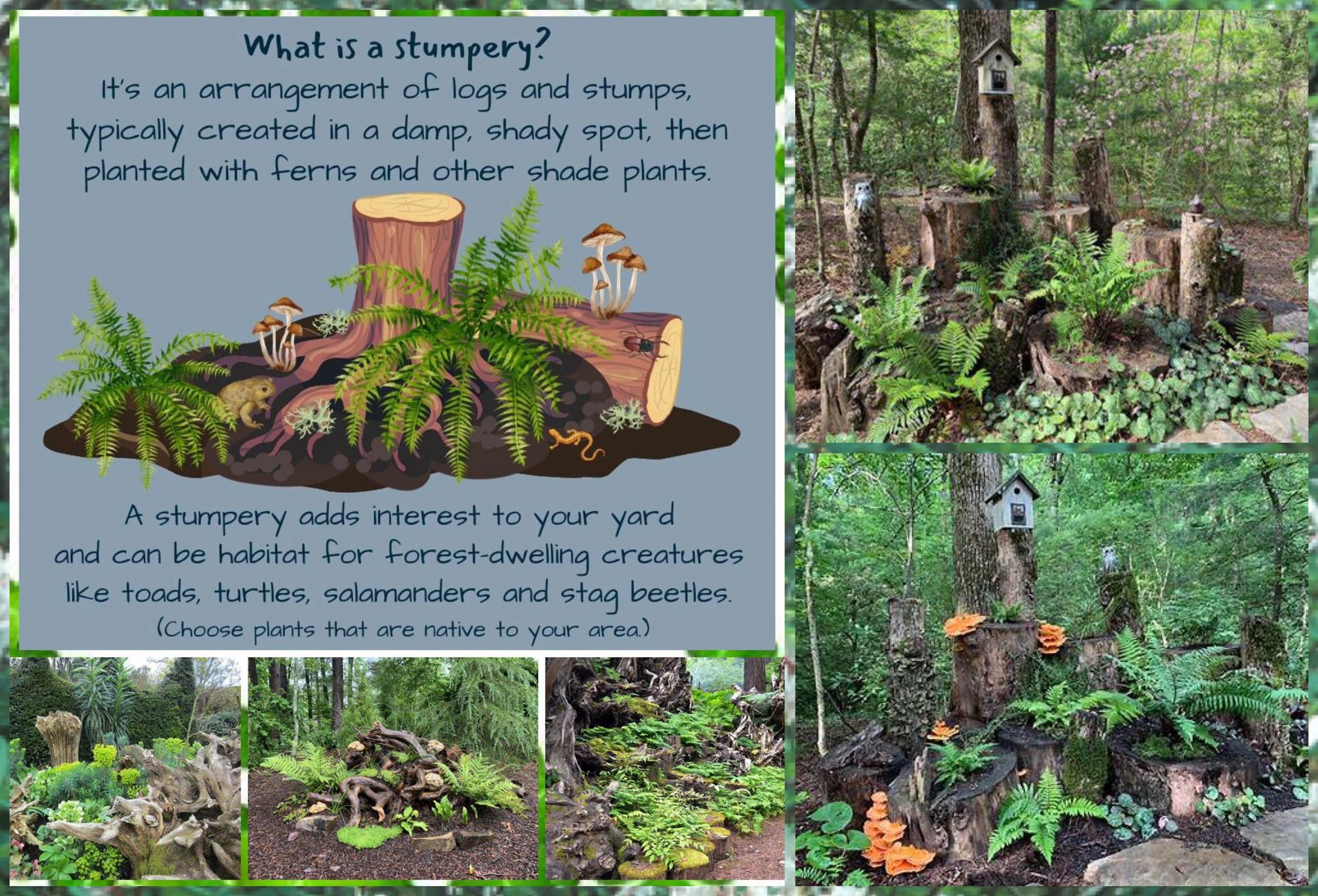 What Do Owls, Woodpeckers and Stumperies Have in Common?