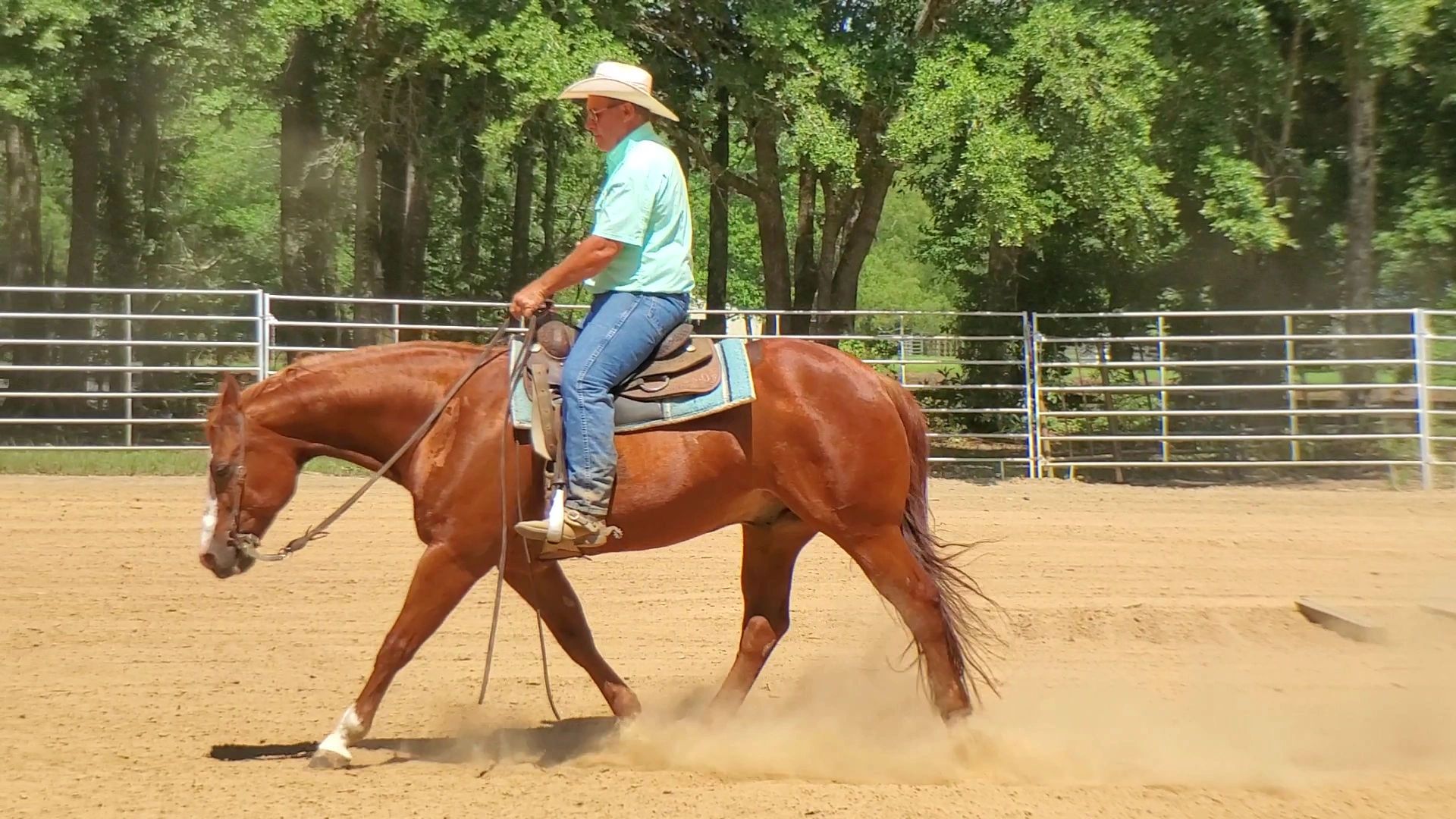 Creators We Love: Tim Anderson Horse Training