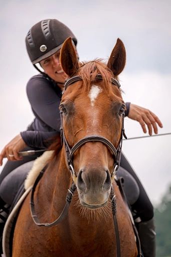 Double Dose of OTTB’s: The RRP Mega Makeover