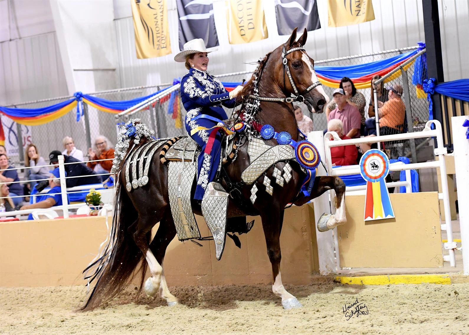 Glitz, Glamour, and Athleticism: Meet the Parade Horse