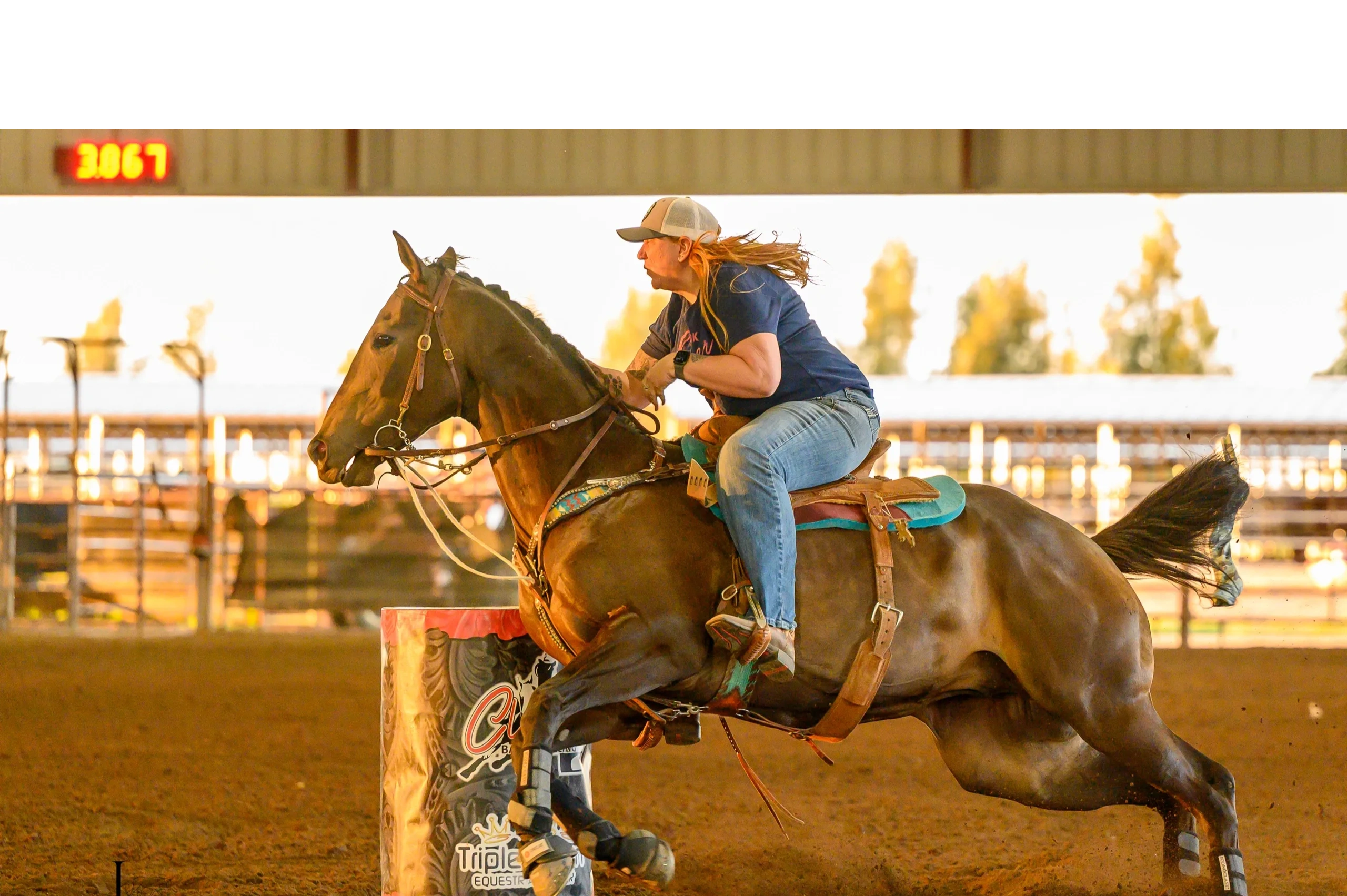 Gallery | KP Performance Horses