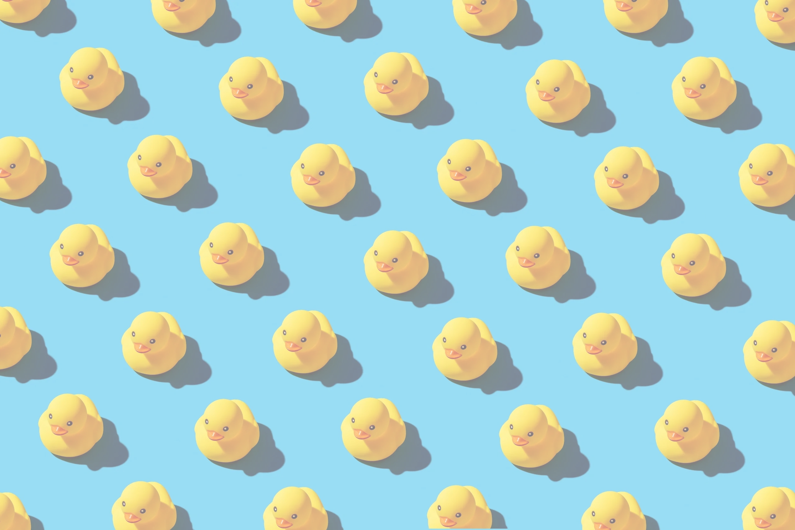 Duck University Foundation