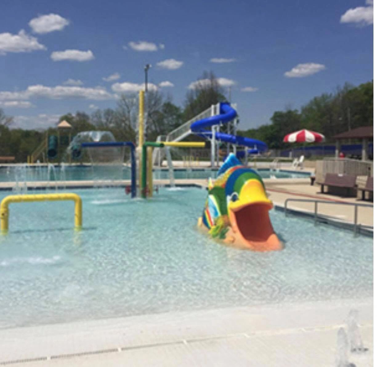 Lehightonareapoolpals