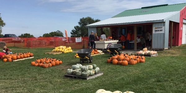 Fall Season | Gieringers Family Orchard & Berry Farm