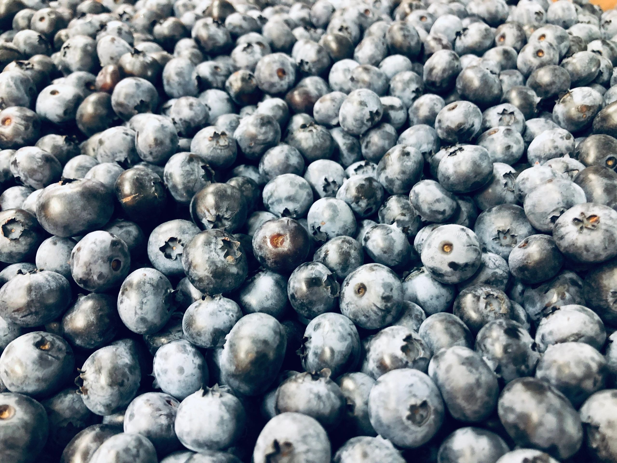 Gieringers Family Orchard & Berry Farm - Home