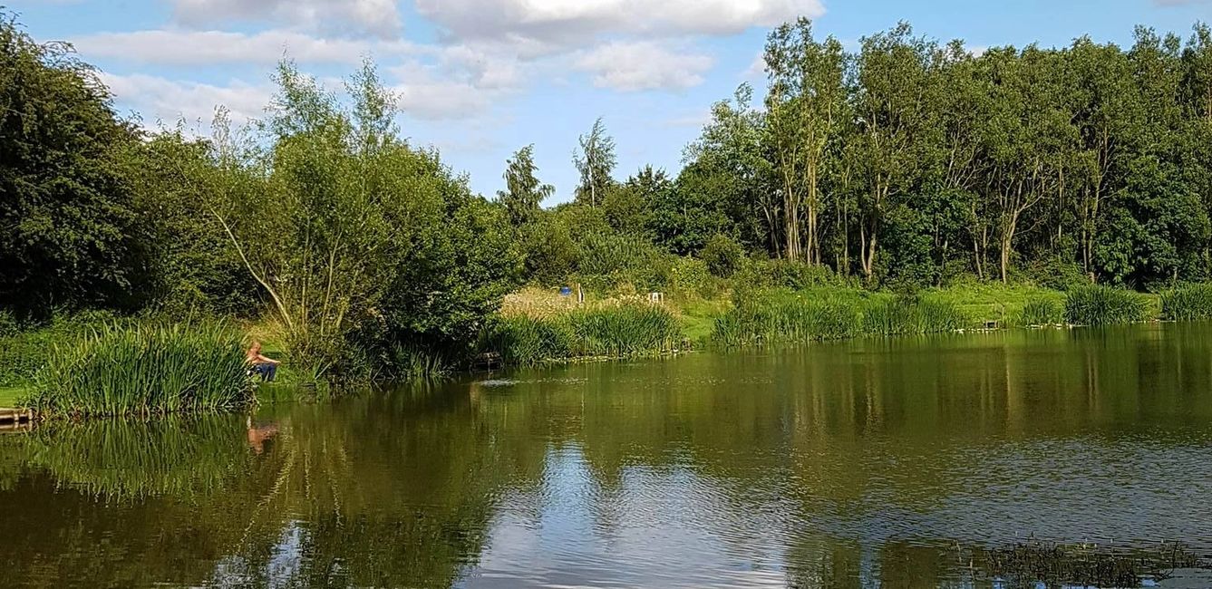 LINGS | Williamthorpe Angling Club