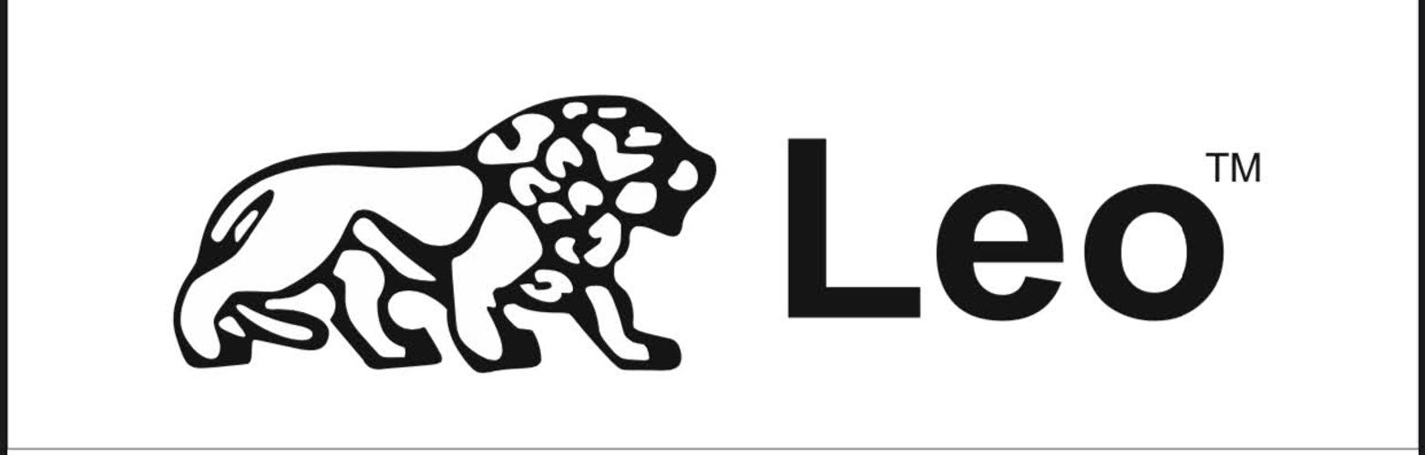 LEO ENTERPRISES