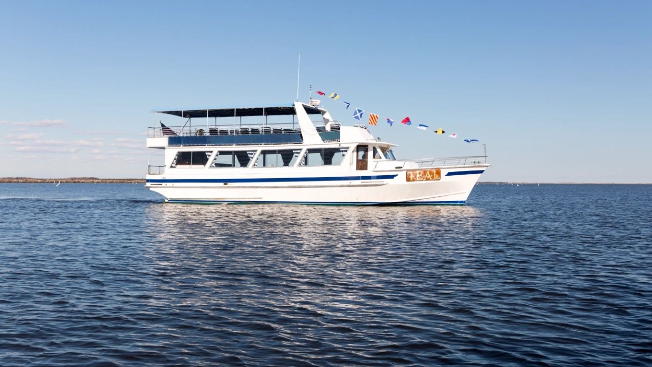 Teal Cruises - Yacht Charter, River Cruise