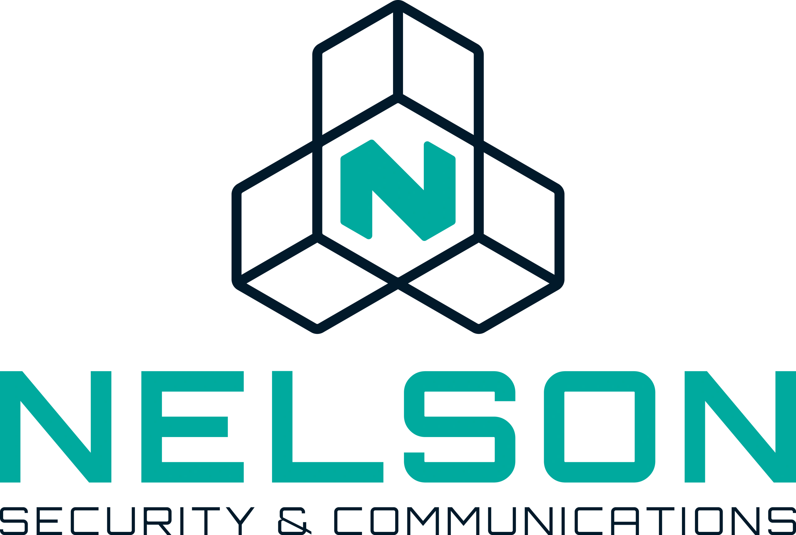 Home Page [nelsonsecurity.com]