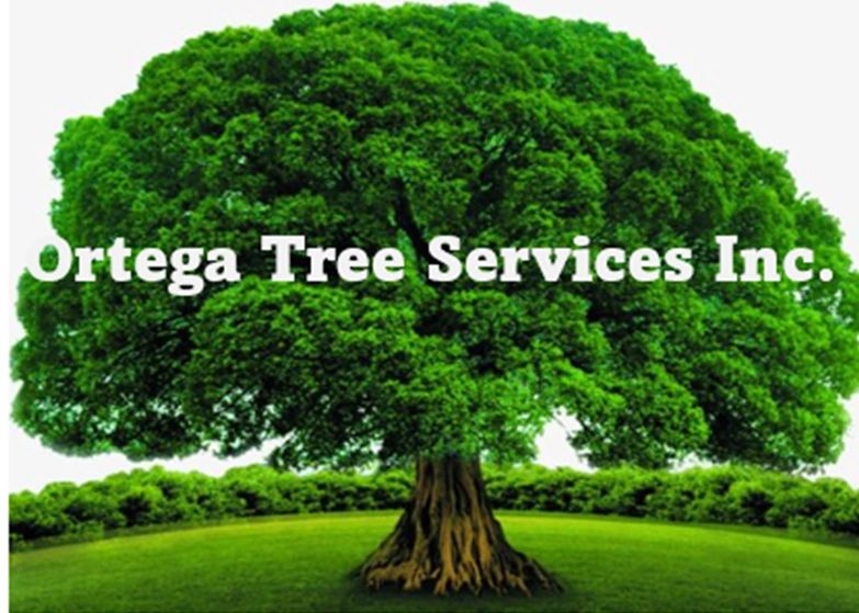 Ortega Tree Services Inc