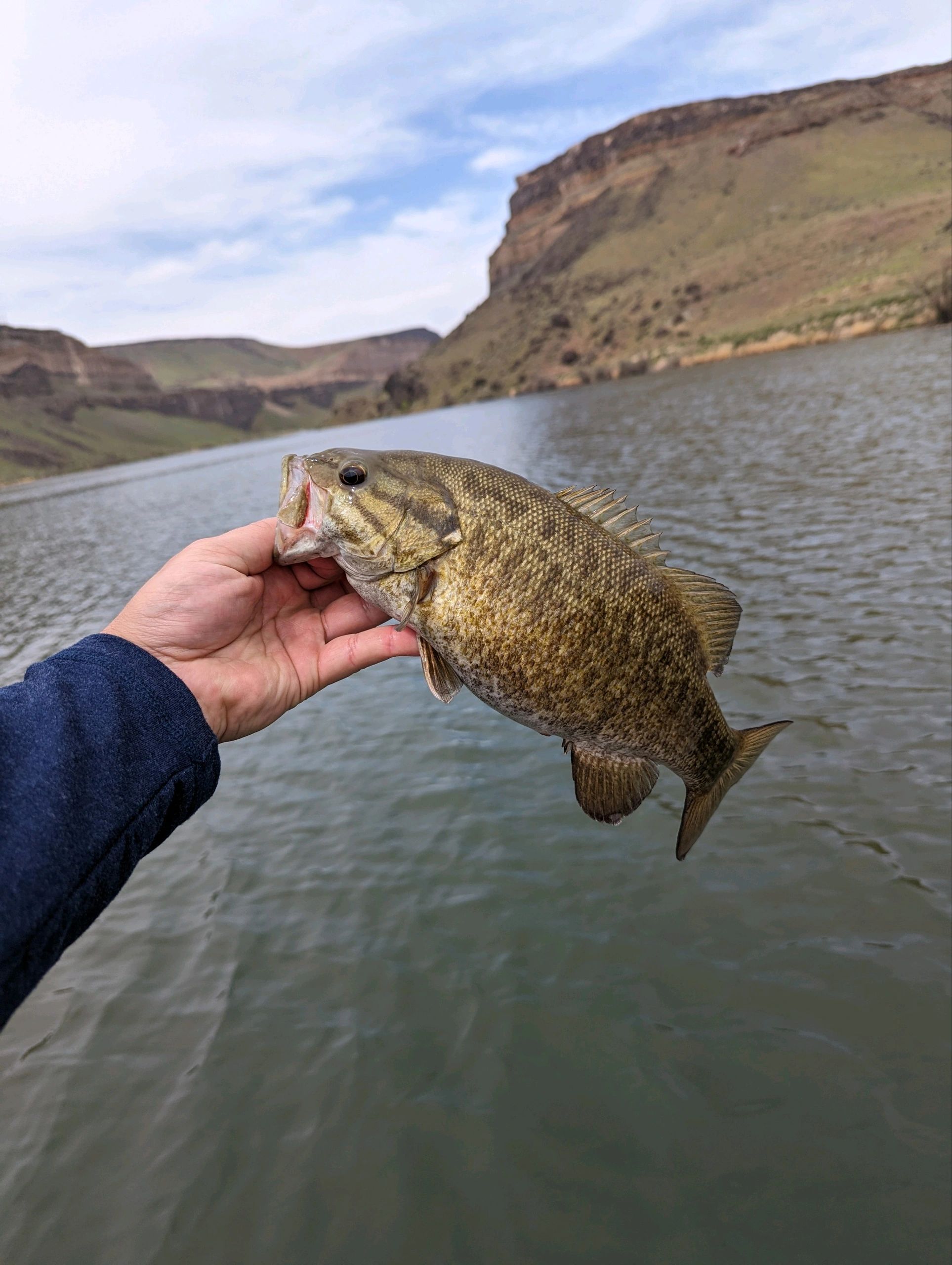 Rambling Anglers