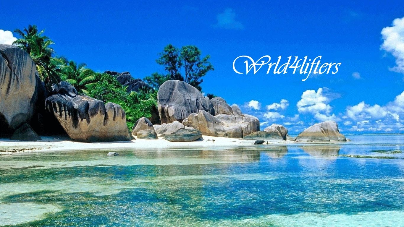 W4L. - Official Store.