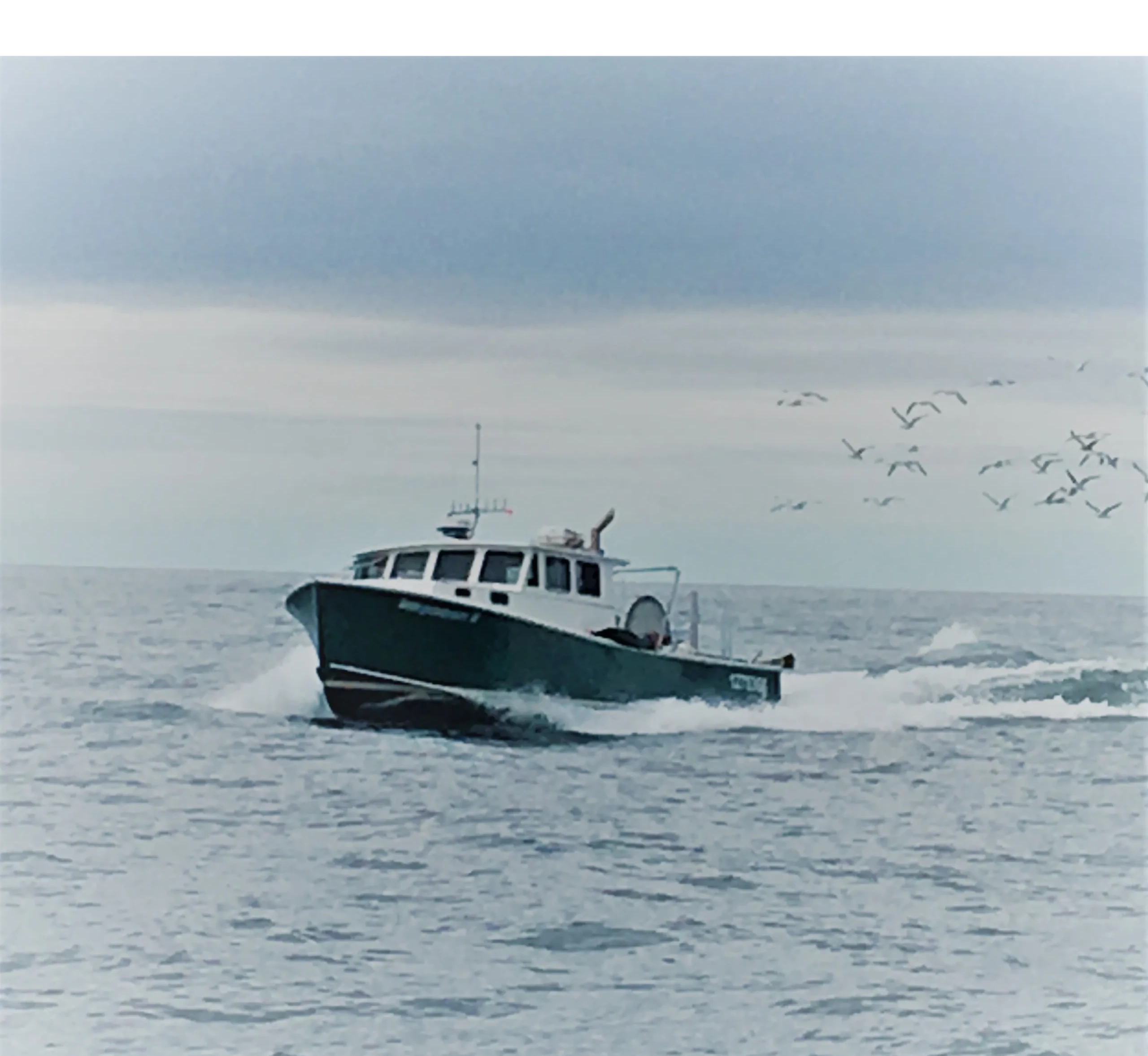 Freedom Fishery
