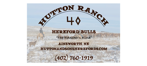 Hutton Ranch - Hereford Bulls
