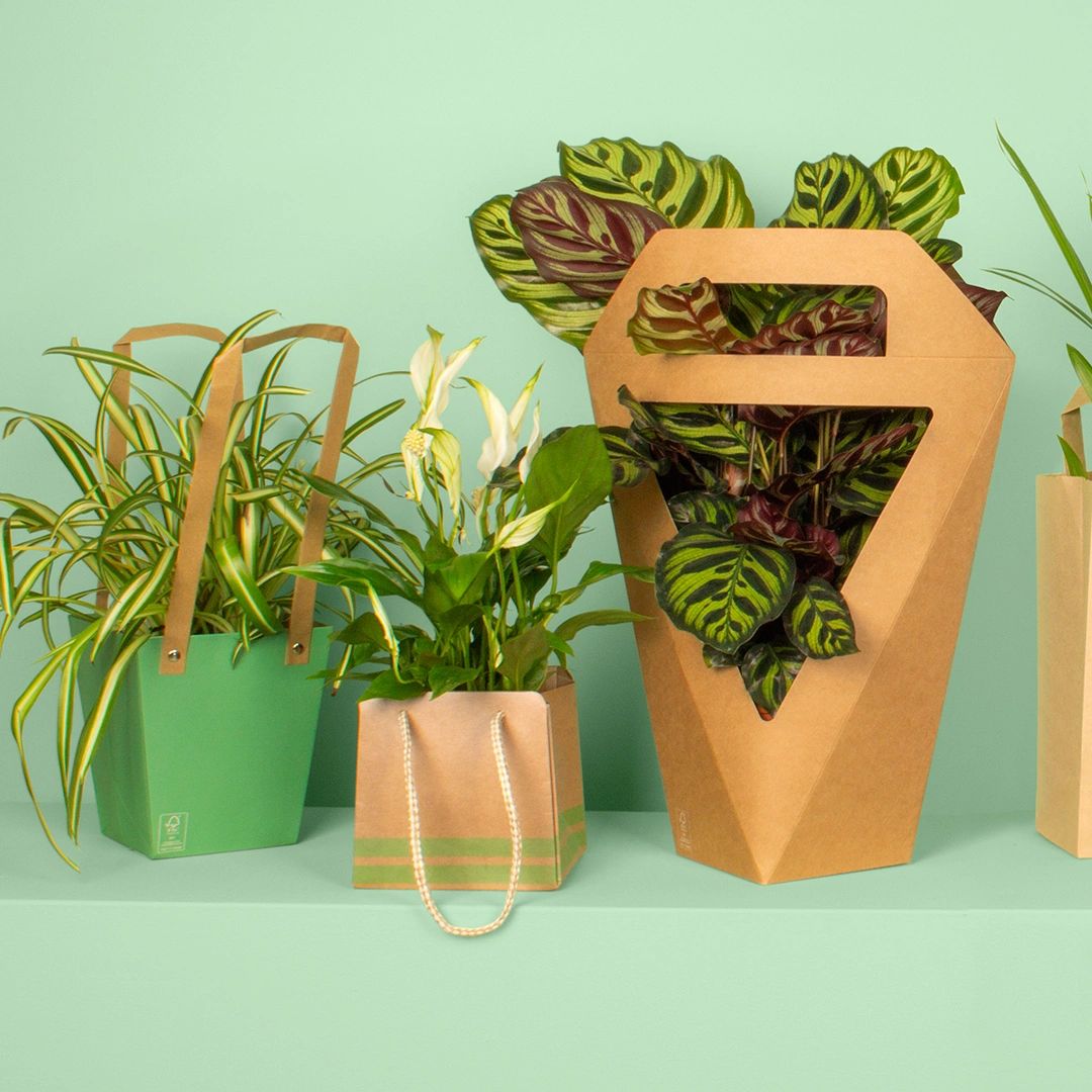 Plant Packaging