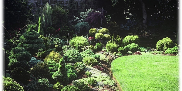 Rare Plant Nursery | Gardens of Rice Creek