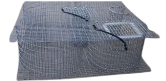 Cloverleaf Fish Trap - Regular