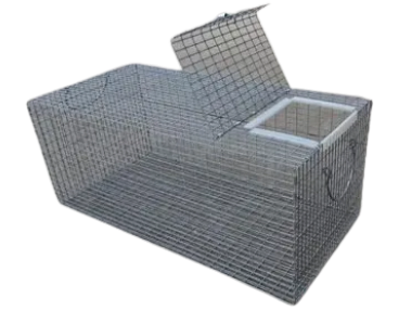Live Bait Holding Cage