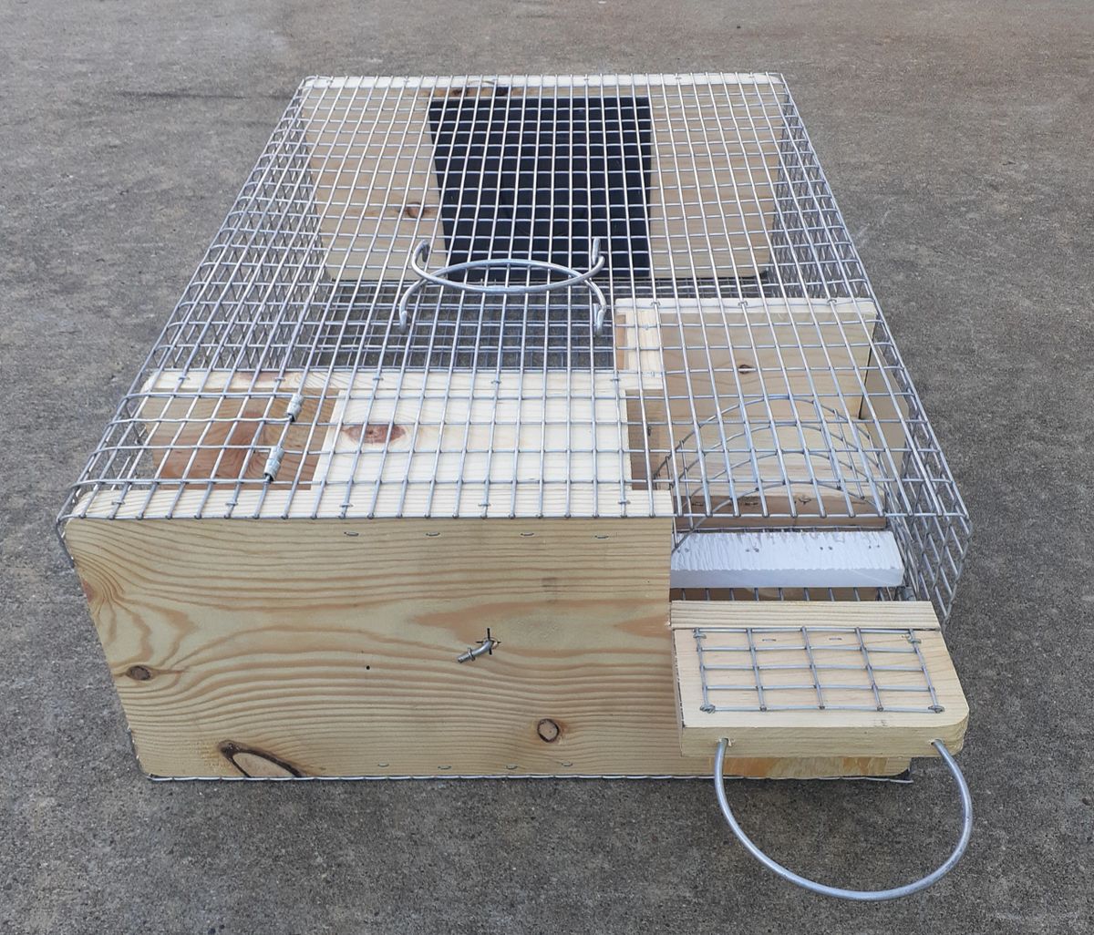 Deluxe Sparrow Trap
