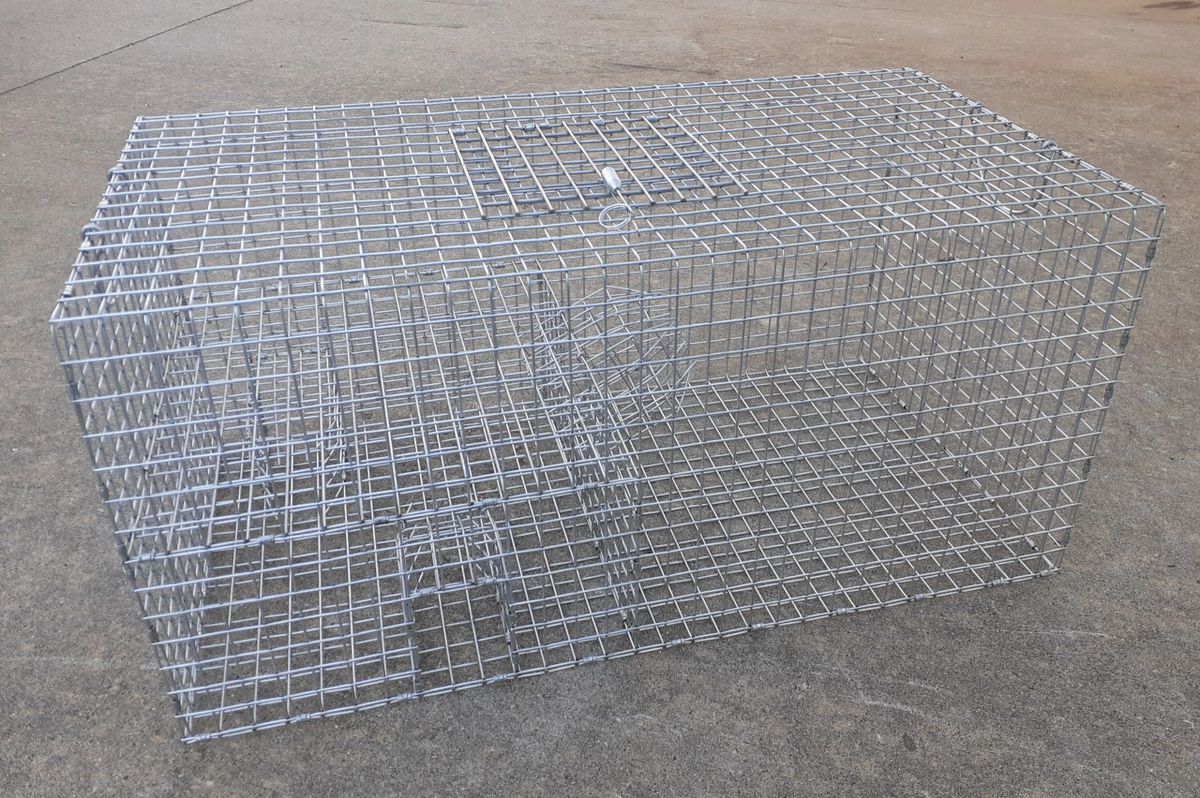 Starling Trap