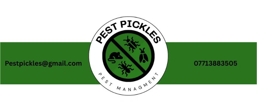 Pest Pickles Pest Management