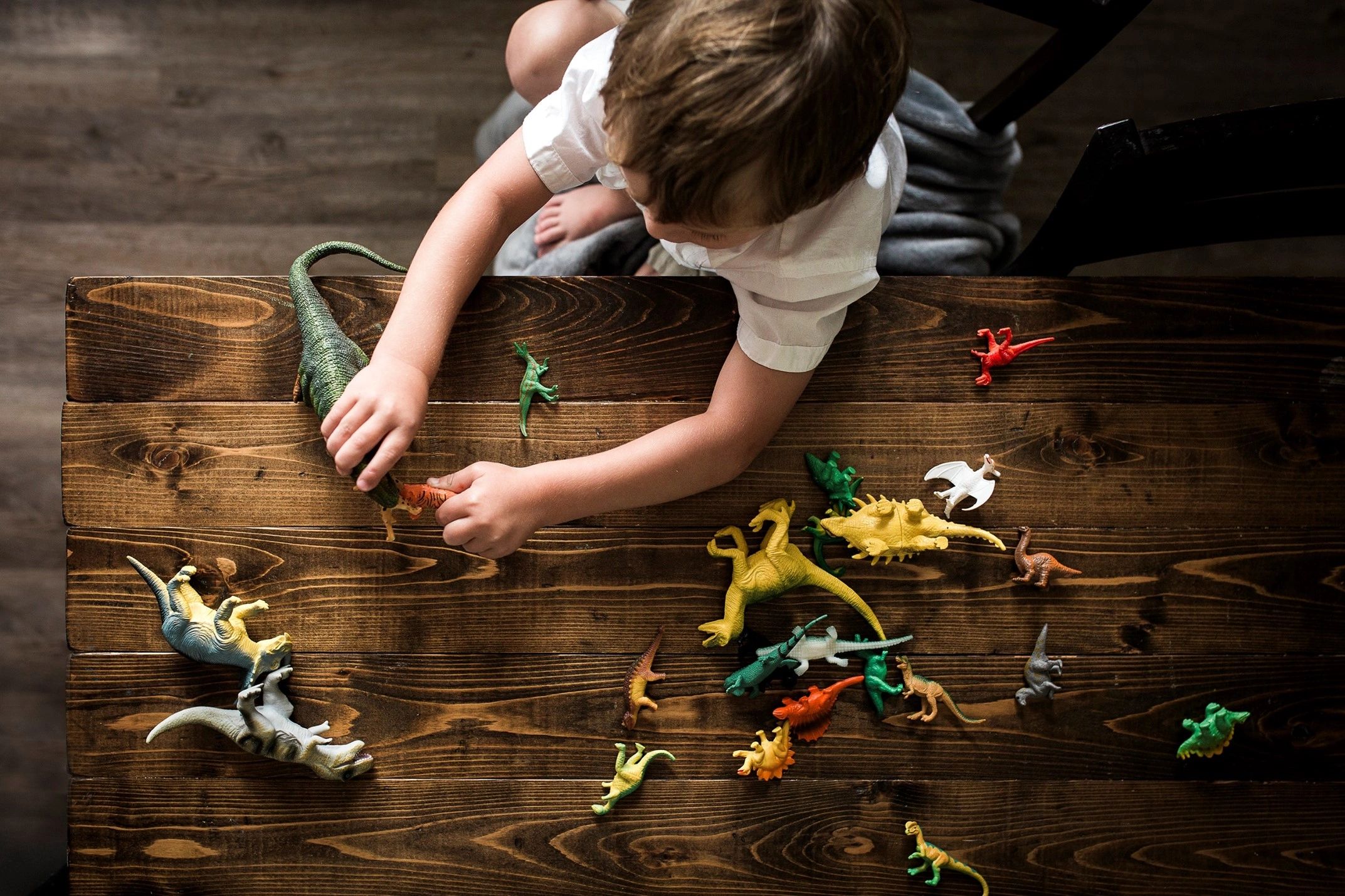 Square Pegs Behavior Solutions