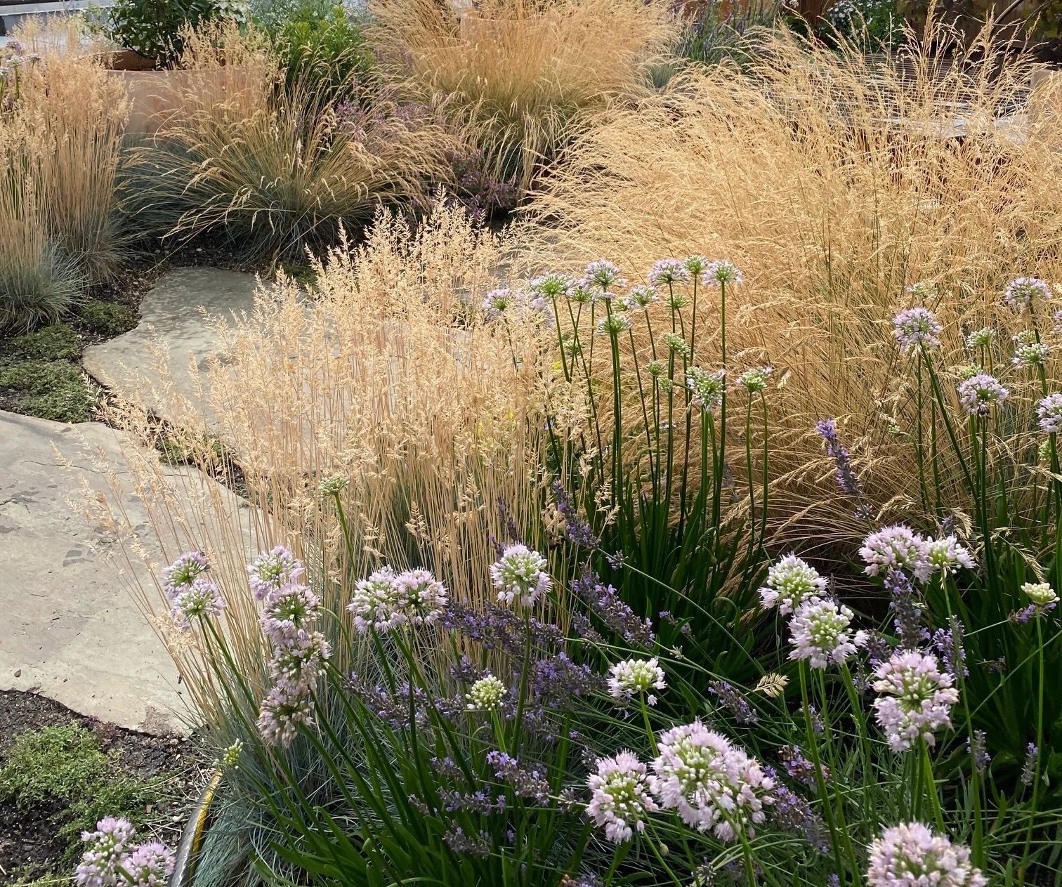 Grade - Landscape Design + Build