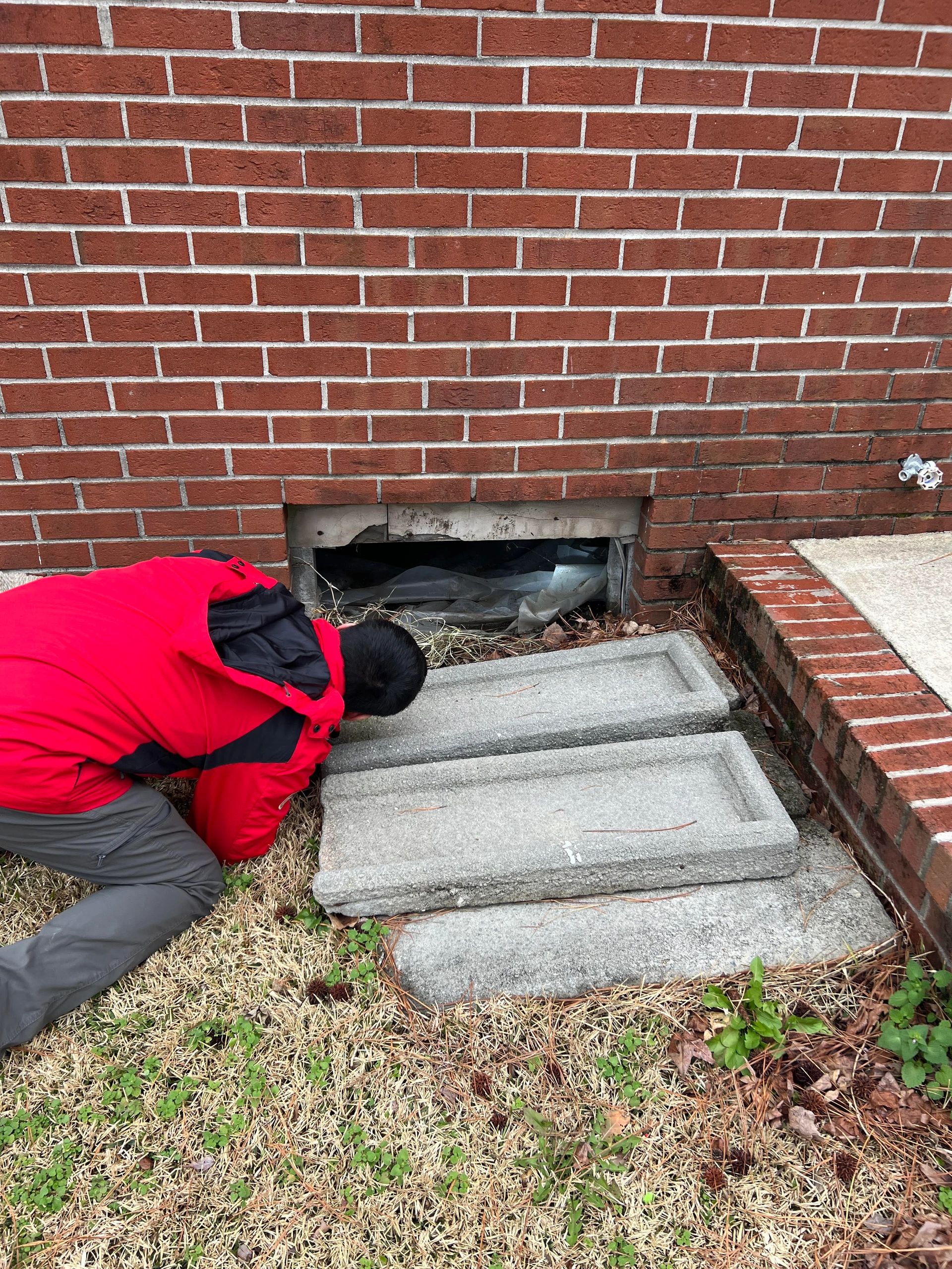 CHESAPEAKE TERMITE - Termite Control, Hampton Roads, Moisture Control