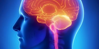 Neuro Sciences Centers - Pain Management, Pain Treament | Neuro ...