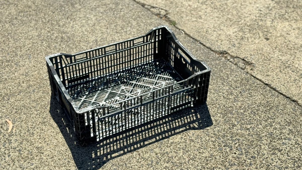 Shallow plastic storage crates