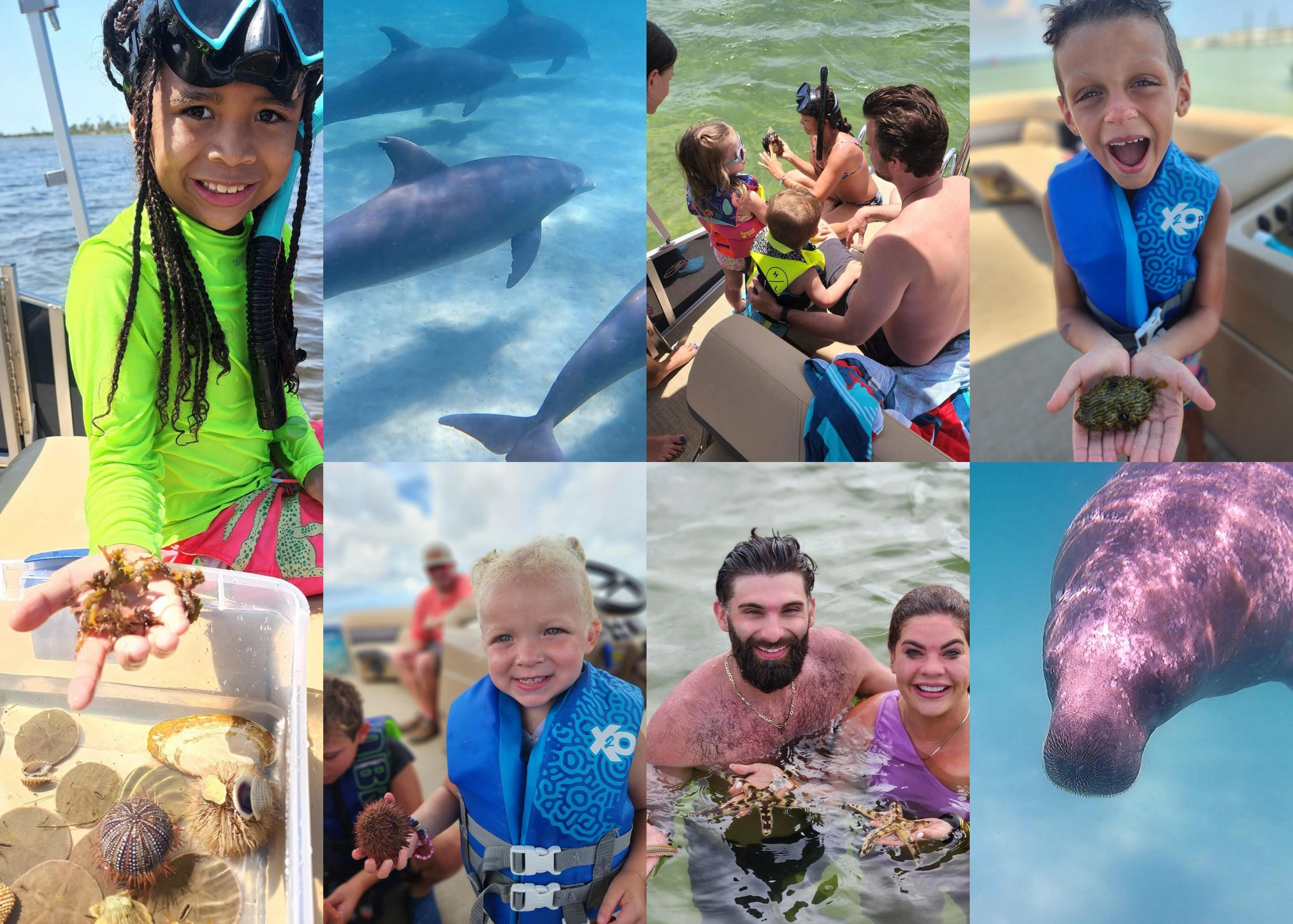 Best Dolphin Cruise Near Me - Shell Island Dolphin Tours