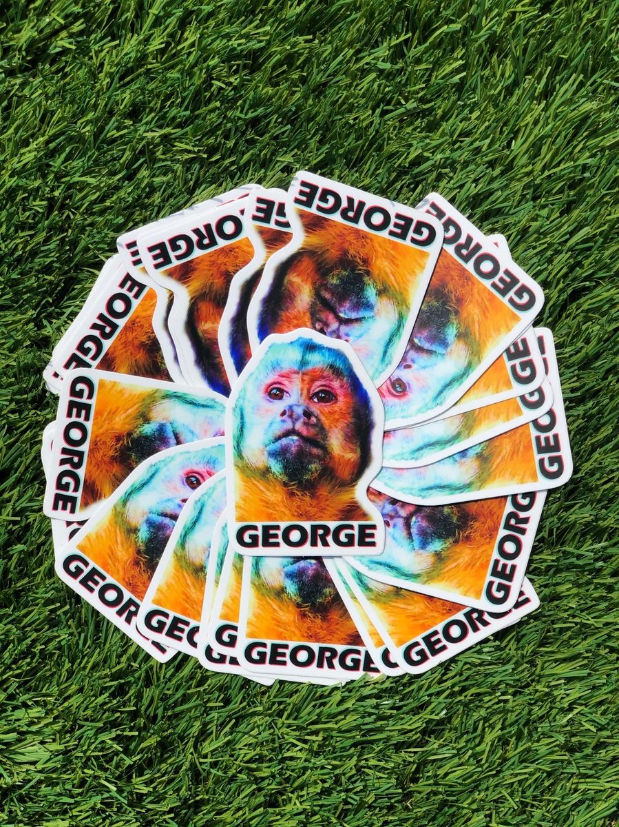 Colorful Georgie Boy Sticker